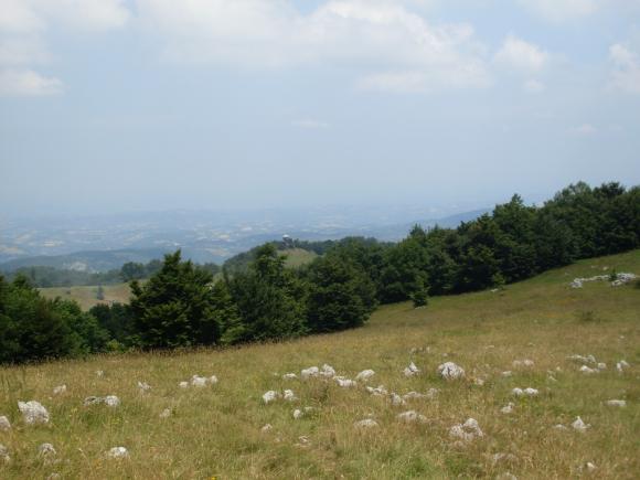 POVLEN (Veliki 1271 m, Srednji 1301 m, Mali 1347 m)